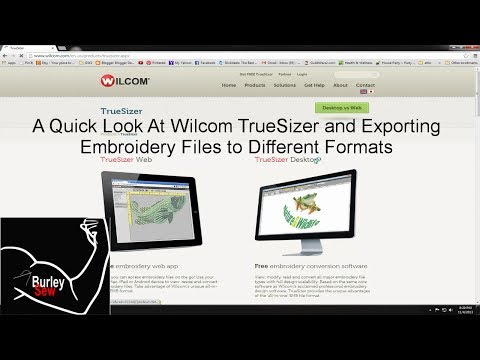 A Quick Look at Wilcom TrueSizer and How to Change Embroidery File Formats DST To PES and more