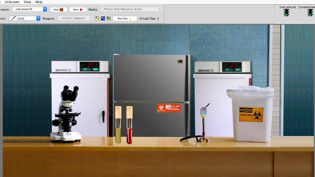 Virtual lab VUMIE