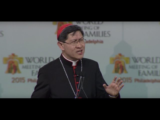 Cardinal Luis Antonio Tagle: The Family as a Sanctuary for Healing ...