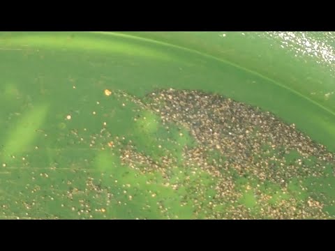 Signs of Gold in Union County, NC