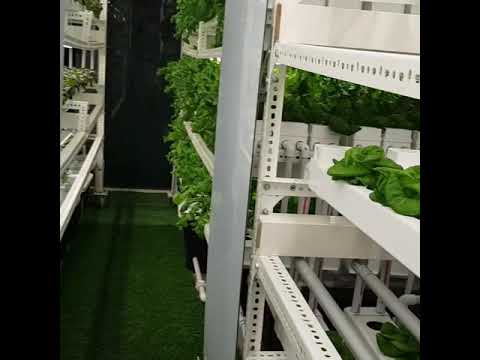 Cube Root Farms - Container farm Demo