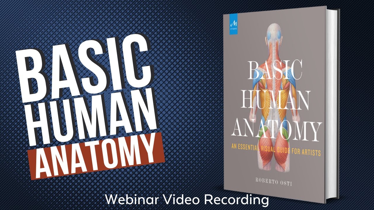 HD A Webinar for Basic Human Anatomy