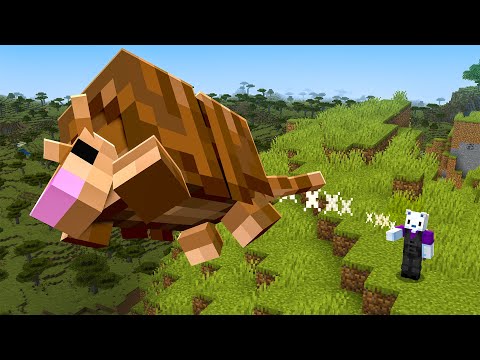 So I Already Broke Minecraft's New Armadillo