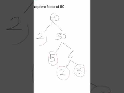 Prime factor for 60 using Tree Method