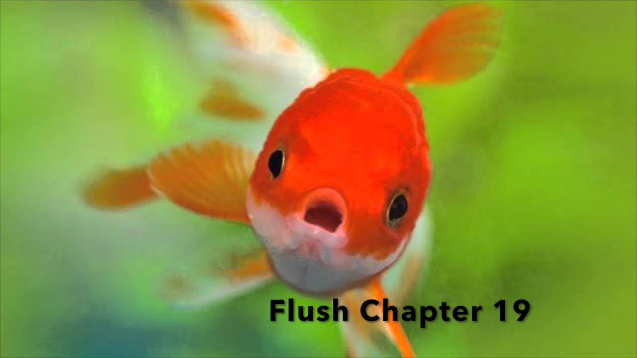 Miss o reads flush chapter 19
