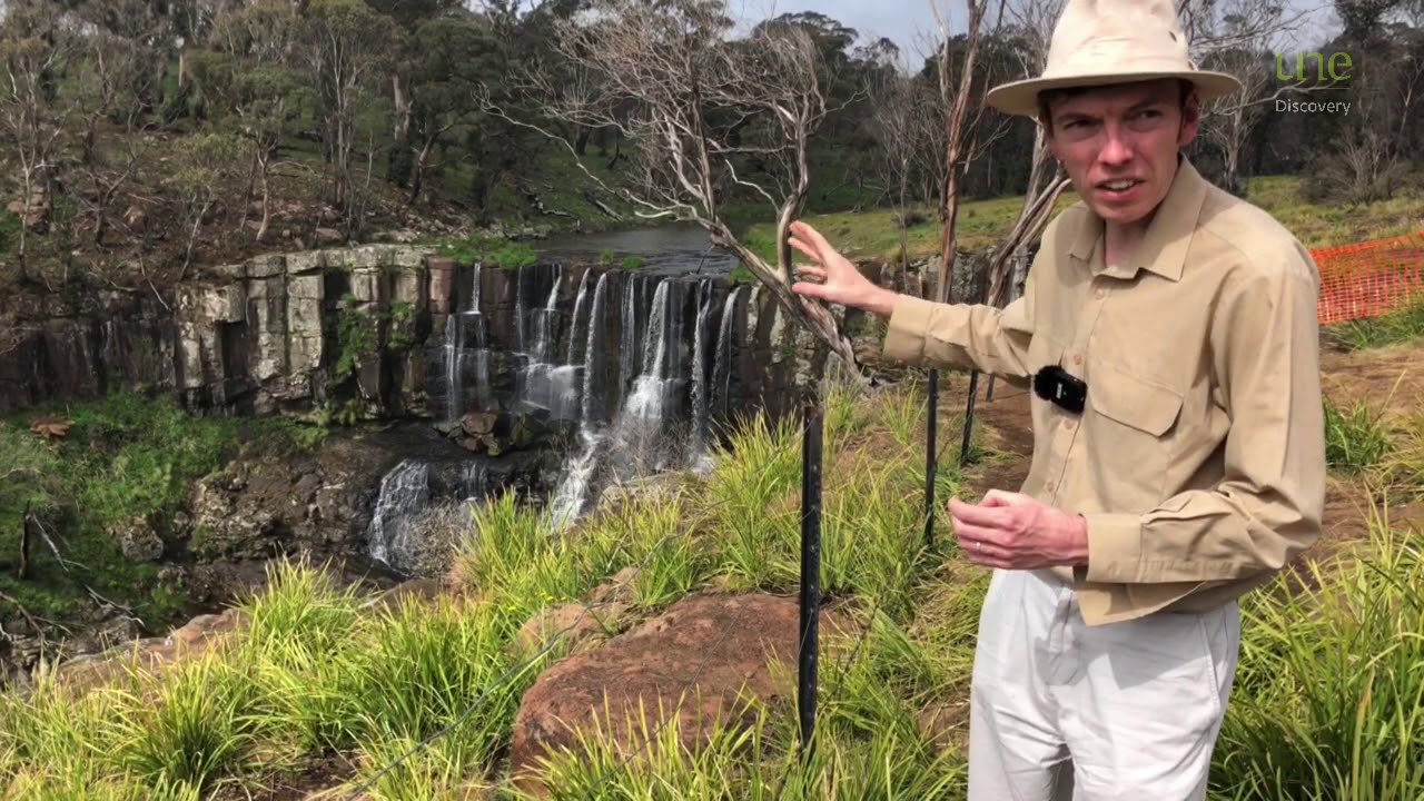 George the Geologist - Basalt Columns