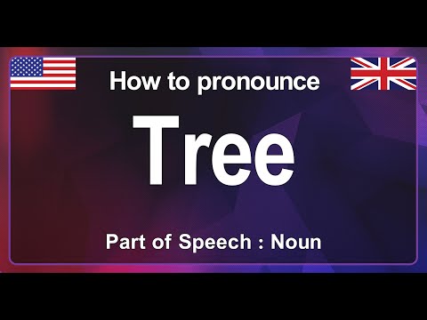 Tree Pronunciation Correctly , How to Pronounce Tree in American English