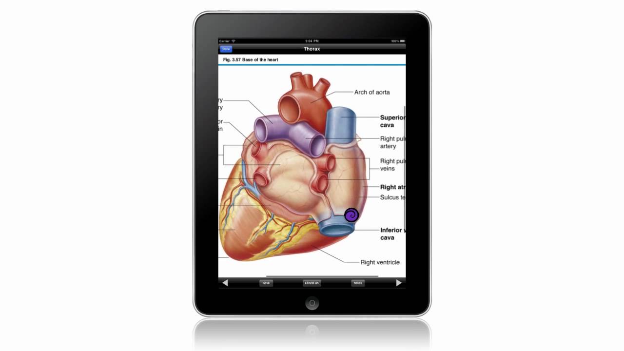 Gray's Anatomy for Students for iPad