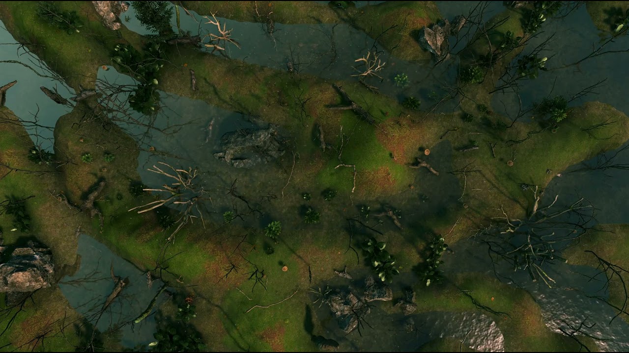 Swamp Before Sunset - Moving Battle Map