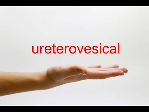 How to Pronounce ureterovesical - American English