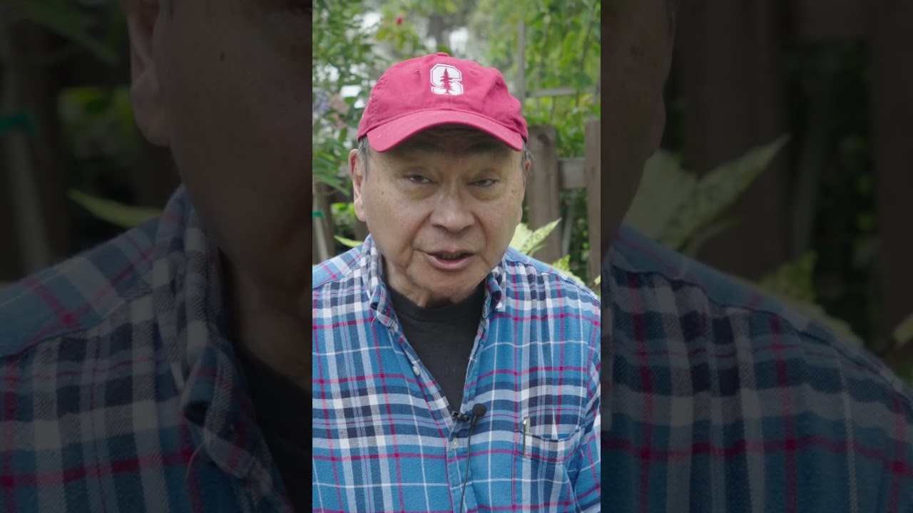 What is Western Civ #shorts