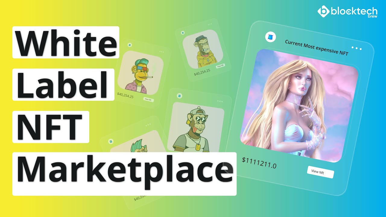 White Label NFT Marketplace : How to Create Your Own NFT Marketplace?