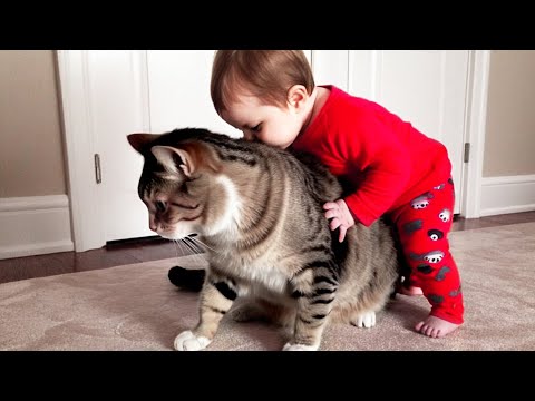 Babies and Pets Become Instant Best Friends π Funniest Baby Videos Ever