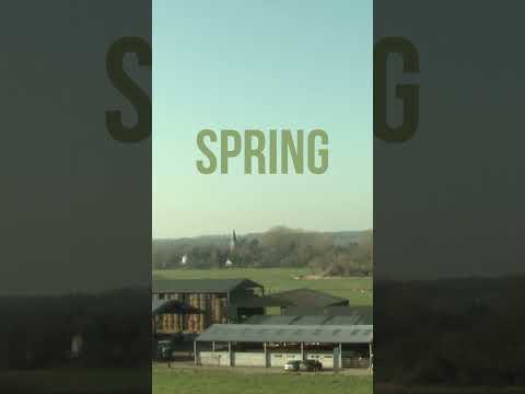 Watch the seasons change on a British Dairy Farm #shorts