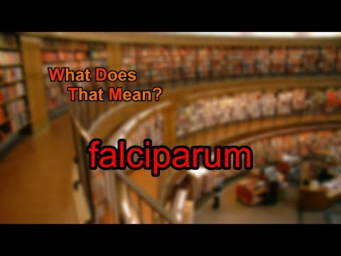 What does falciparum mean?