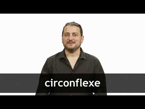 English Translation of “CIRCONFLEXE” | Collins French-English Dictionary