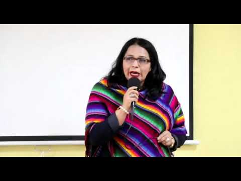 Declaración de la directora de la Escuela Nacional de Transporte Terrestre, Ana Valenzuela