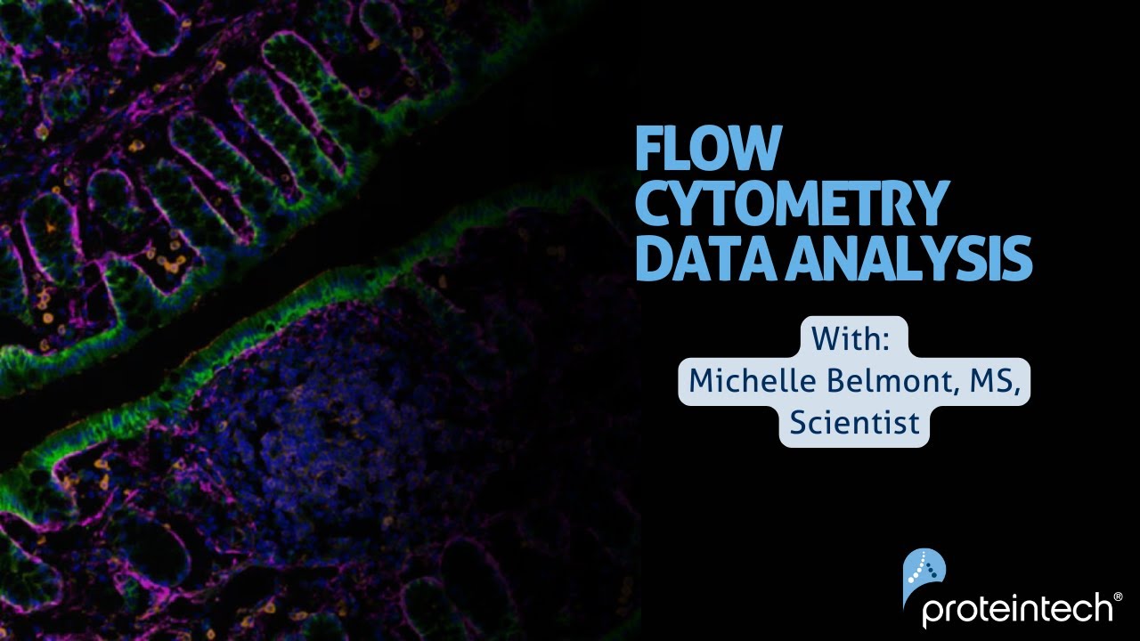Flow Cytometry Data Analysis