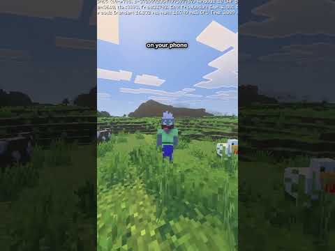 Minecraft Vibrant Visuals Is CRAZY! (Built IN Shaders)