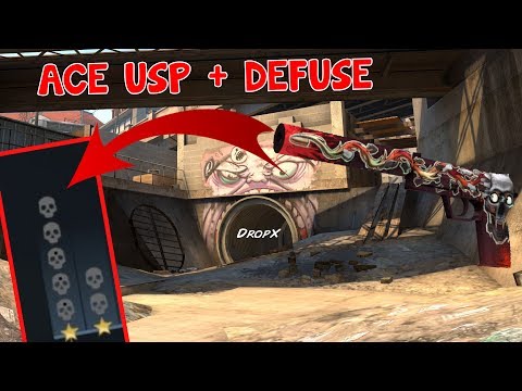 Steam Community :: Video :: ACE USP + DEFUSE
