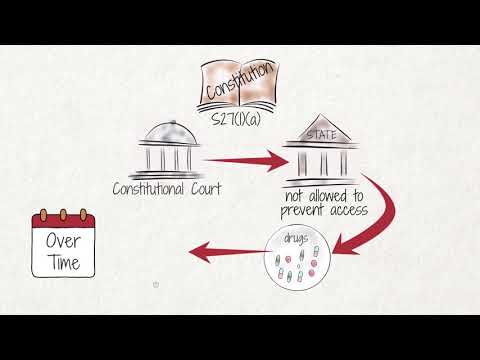 What does the right of access to health care entail?