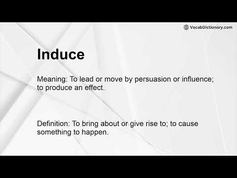 Induce Meaning