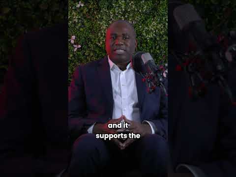 Here's something you might not know about David Lammy