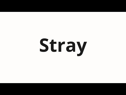 How to pronounce Stray
