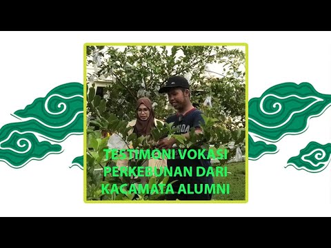 TESTIMONI VOKASI PERKEBUNAN DARI KACAMATA ALUMNI