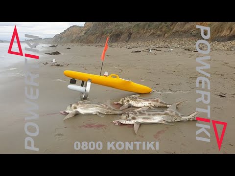 Kontiki Fishing for Elephant Fish in Otago with Powertiki