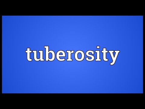 Tuberosity Meaning