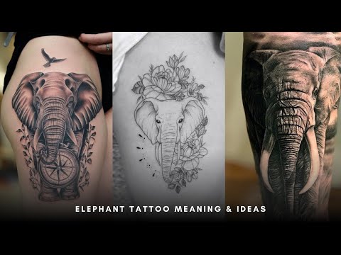 Elephant Tattoo Meaning And Ideas