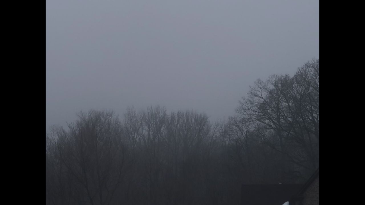 untitled-project-1.mp4