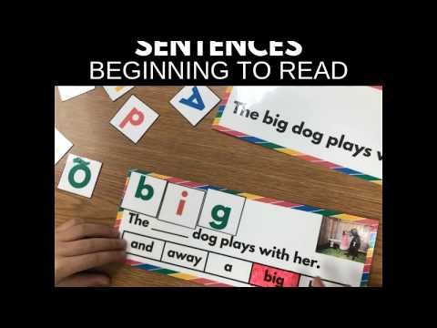 Sight Word Sentences - Find the Correct Word - Beginning to Read