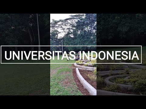 UNIVERSITAS INDONESIA #shorts #fyp #fyptiktok #video #youtubeshorts #indonesia