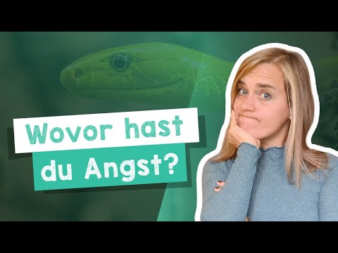 Die gängigsten Phobien - Bist du auch davon betroffen? - B2 [mit Jenny]