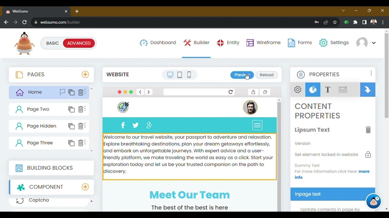 WebSumo - How to use Lipsum Text