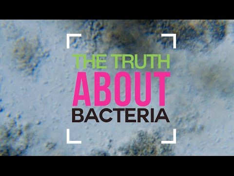 The Truth About Bacteria