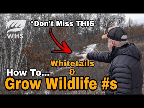 How To Create Critical Deer and Wildlife Edge