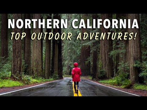 12 ADVENTUROUS Things To Do In Northern California (2025 Guide!)