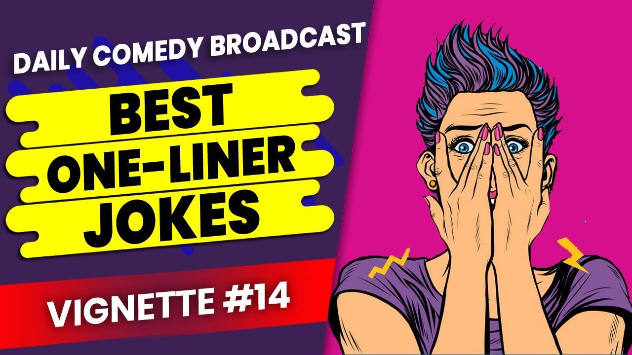Best One Liners | Steven  Wright Jokes | Steven Wright One Liners | Vignette 14