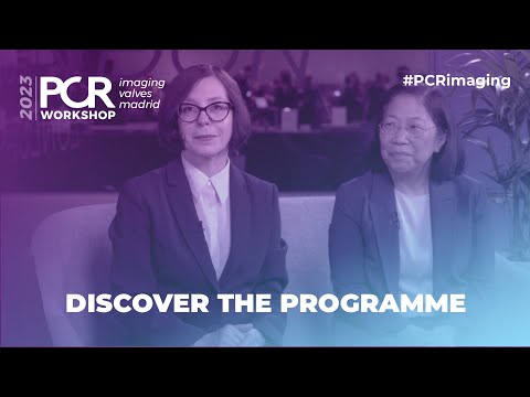 Imaging Valves Madrid Programme Directors discuss the workshop’s highlights