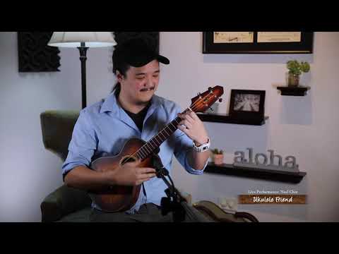 Custom Compass Rose Tenor Ukulele - Ukulelefriend.com | Reverb
