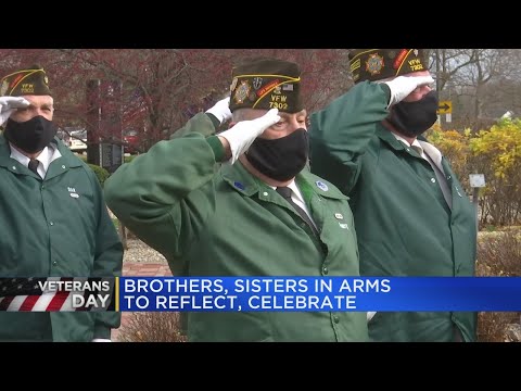 Mid-Michigan honors veterans on Veterans Day