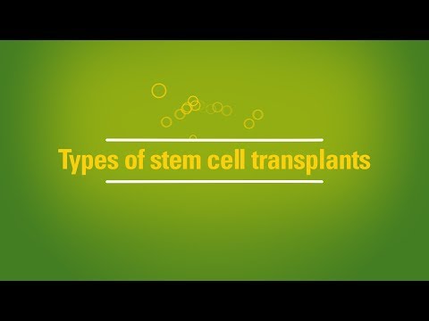 Types of stem cell transplants: autologous vs. allogeneic