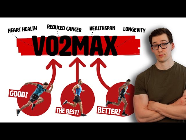 53 Studies Reveal the Best Methods to Enhance VO2 Max | Galaxy.ai