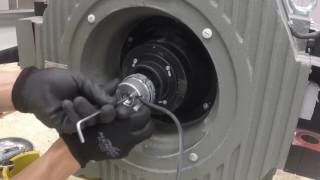 Torin Drive North America