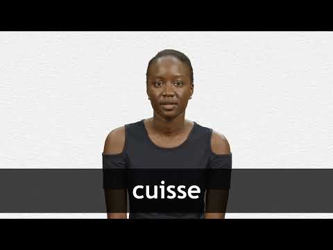 English Translation of “CUISSE” | Collins French-English Dictionary