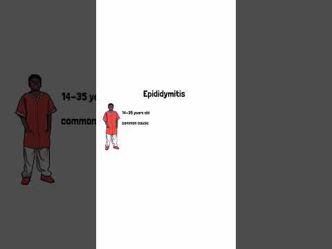 Epididymitis : Common Causes #mrcgpakt #generalpractitioner #medicaleducation #urology