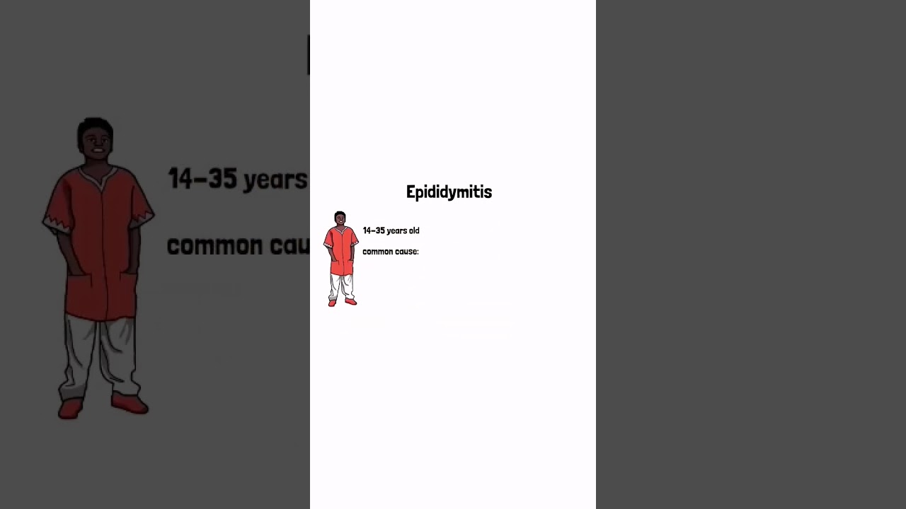 Epididymitis : Common Causes #mrcgpakt #generalpractitioner #medicaleducation #urology